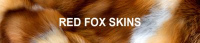 European Red Fox Skins and Canadian Red Fox Skins | Easyfur