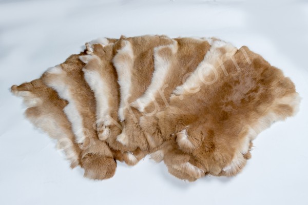 Rabbit skins - sheared and long-haired rabbits in various colors