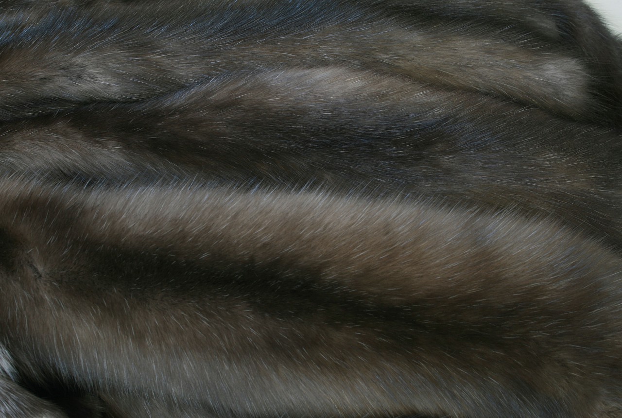 Sable skins from Russia in Tortora X-Dark
