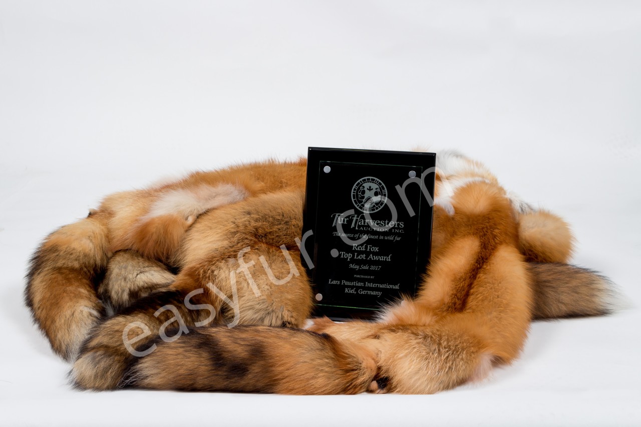 European Red Fox Skins and Canadian Red Fox Skins | Easyfur