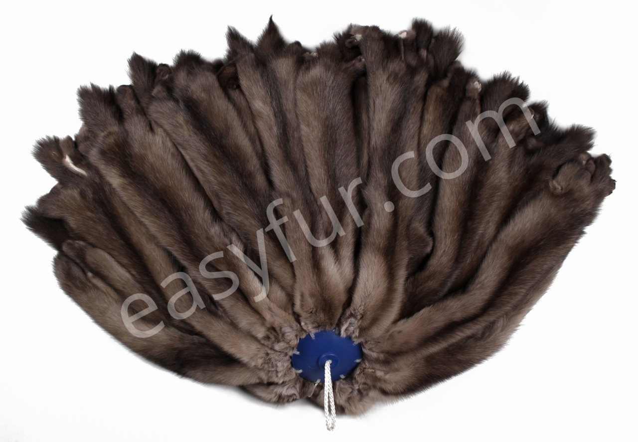 Sable skins - Quality Russian Barguzin sables