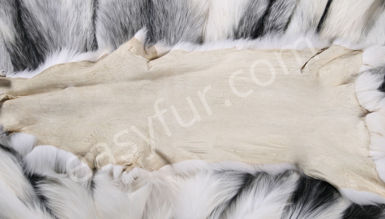 Noble Fur Skins from Arctic Marble Foxes