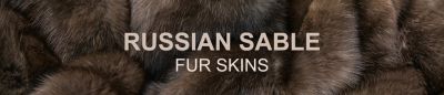 Sable skins - Quality Russian Barguzin sables