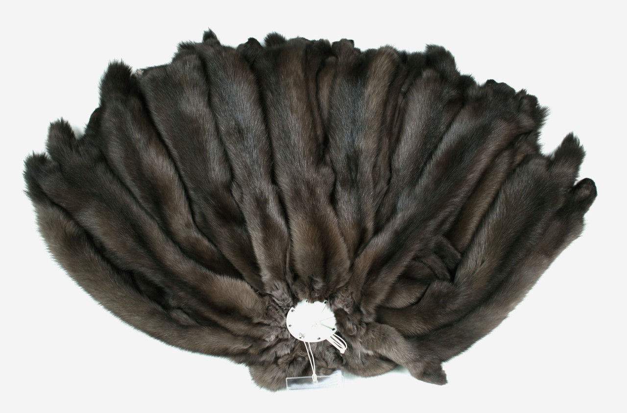 Sable skins - Quality Russian Barguzin sables