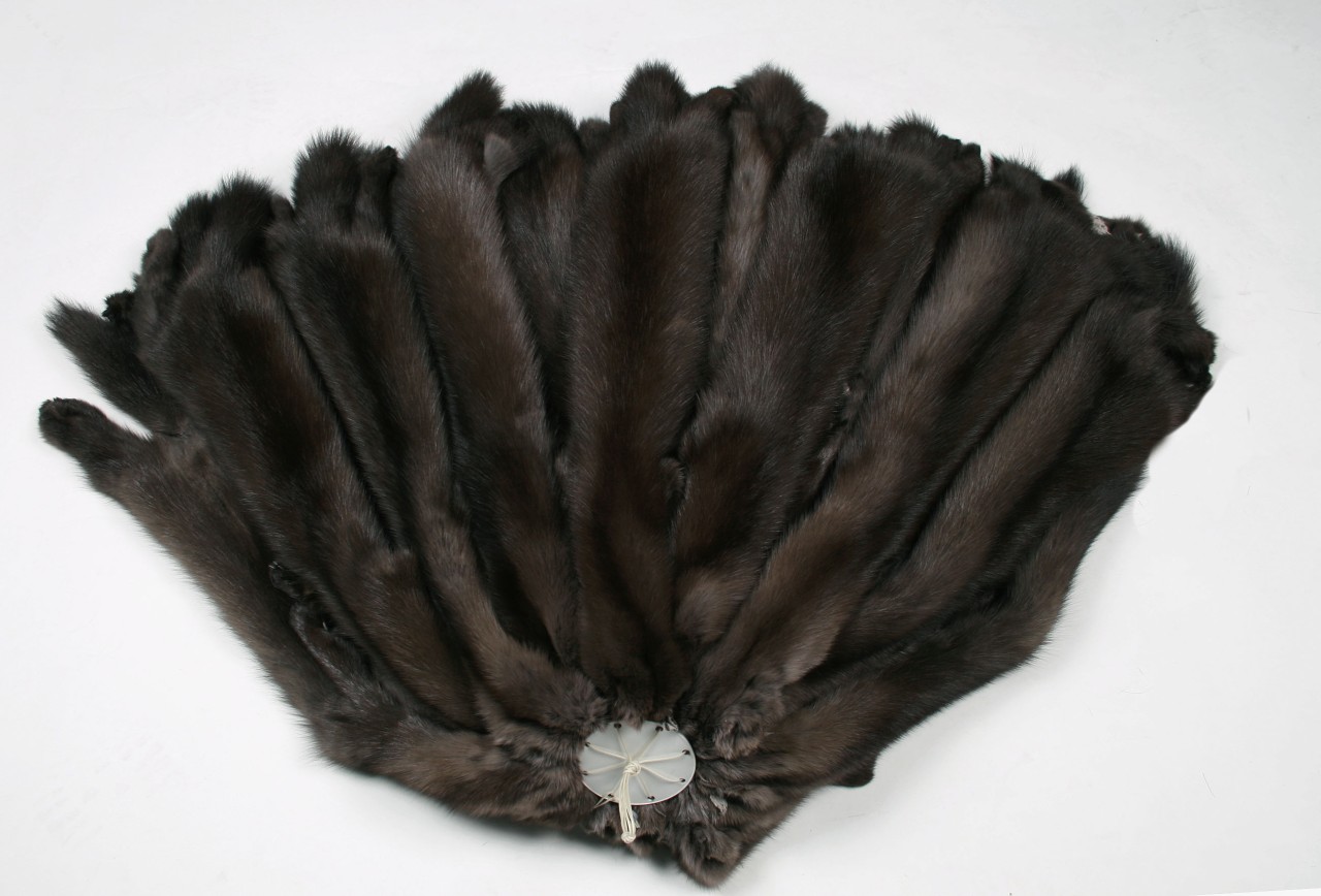 Sable skins - Quality Russian Barguzin sables